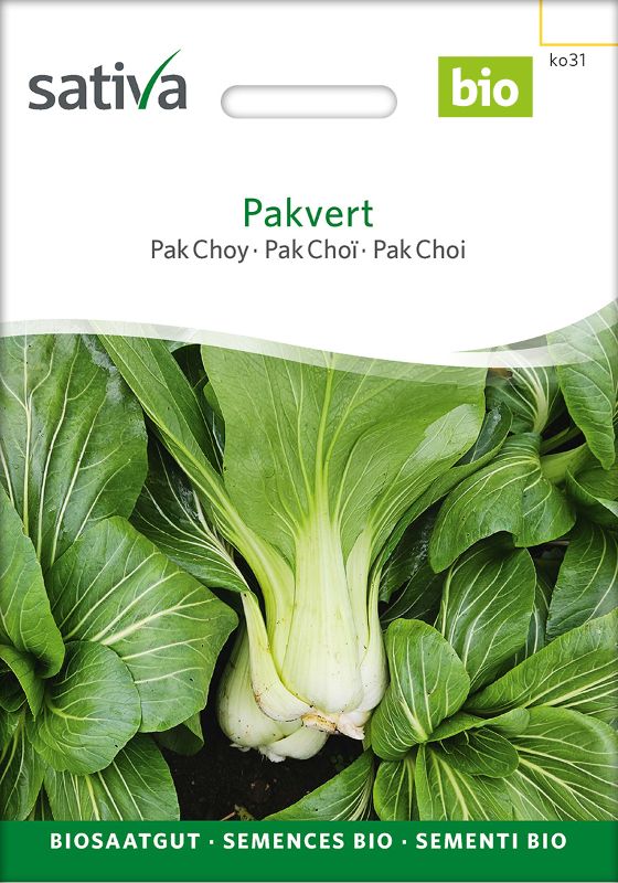 Pak Choi 'Pakvert' | Bio-Saatgut